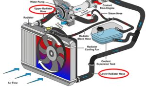 No Pressure In Radiator Hose: 6 Causes And 5 Solutions Must Know